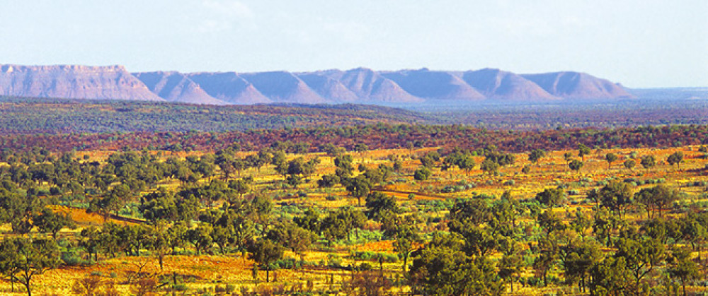 Kings Canyon To Ayers Rock Transfer - Yulara | Project Expedition