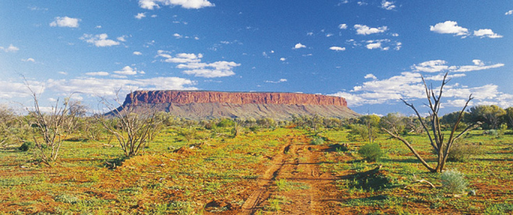 Kings Canyon To Ayers Rock Transfer - Yulara | Project Expedition