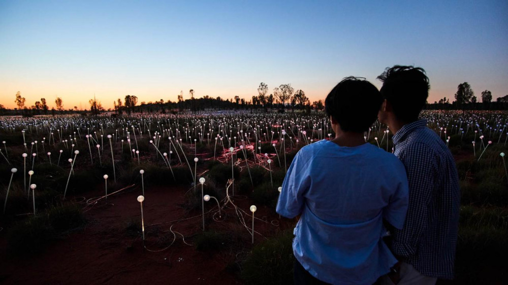 Uluru Sunrise & Field Of Light - Yulara | Project Expedition