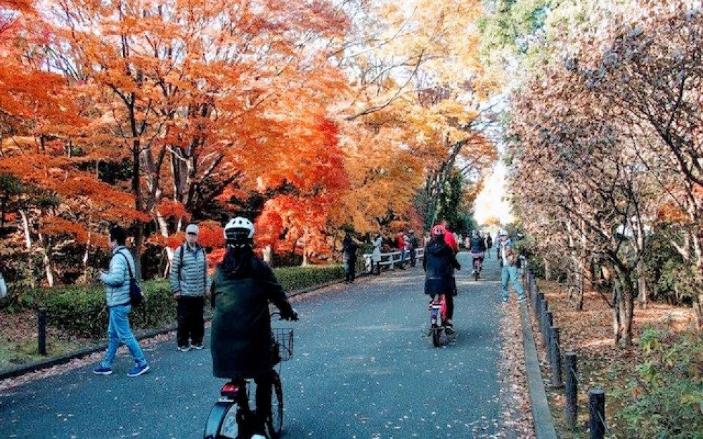 Tokyo Cycling Tour by Electric-Powered Bike - Tokyo | Project Expedition