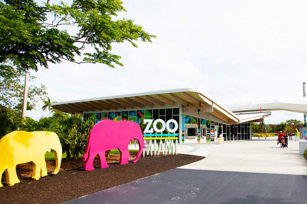 Miami Zoo With Transportation - Miami | Project Expedition