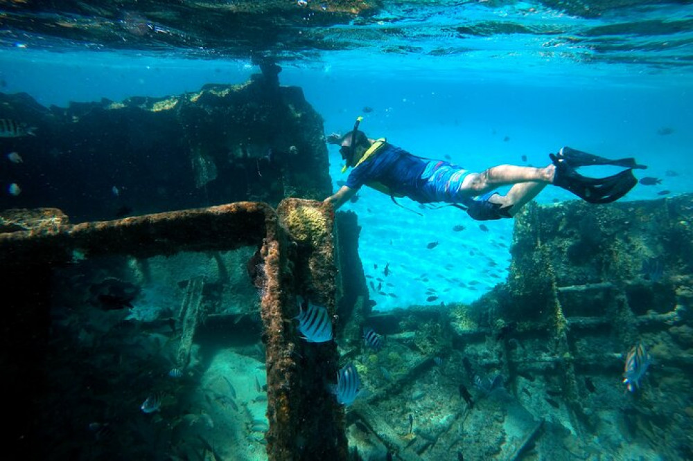 Cancun Snorkeling Tour: Swim with Turtles, Reef, Underwater Museum and ...