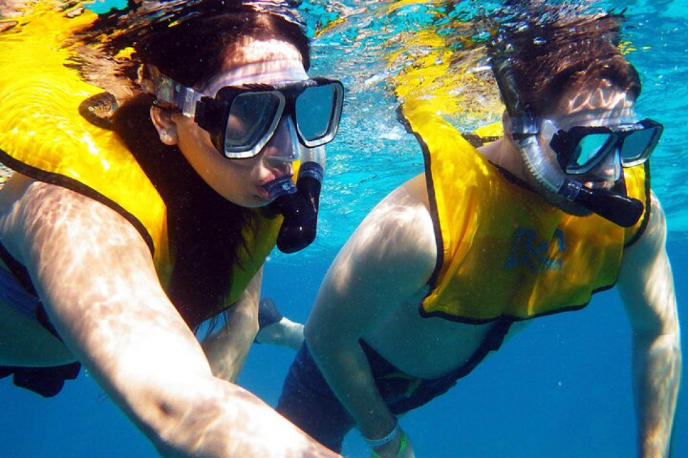 Cancun Snorkeling Tour: Swim with Turtles, Reef, Underwater Museum and ...