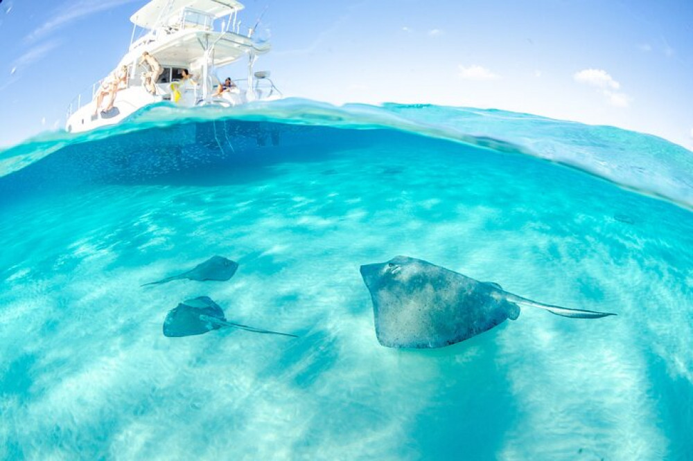 Stingray City and Reef Snorkeling Adventure on Grand Cayman - George ...