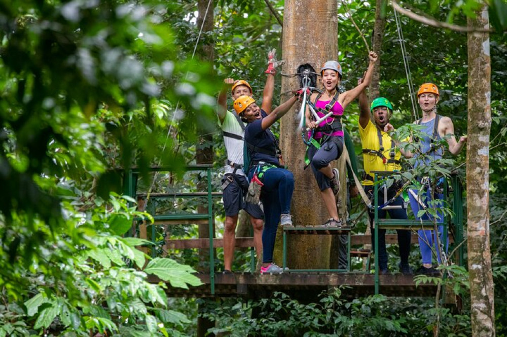 St Lucia Ultimate 3 Package: Aerial Tram, Zipline and Hiking - Castries | Project Expedition