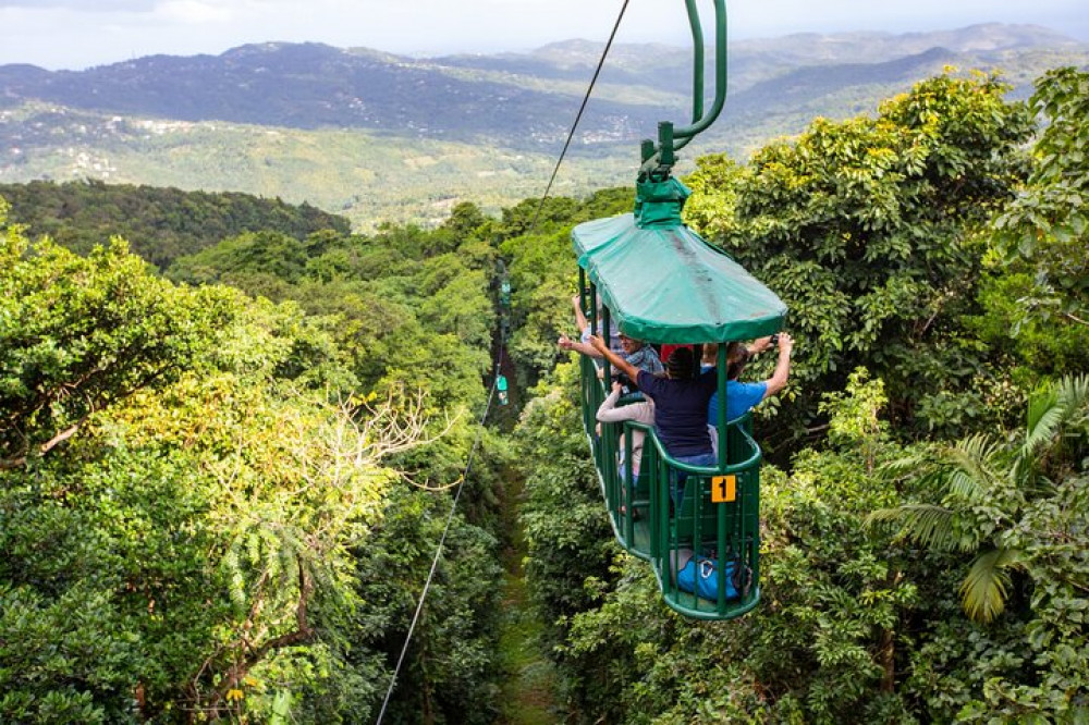 St Lucia Ultimate 3 Package: Aerial Tram, Zipline and Hiking - Castries | Project Expedition