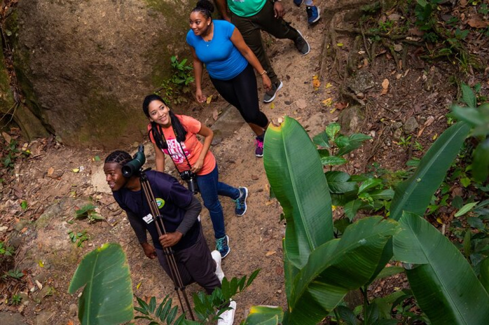 St Lucia Ultimate 3 Package: Aerial Tram, Zipline and Hiking - Castries | Project Expedition
