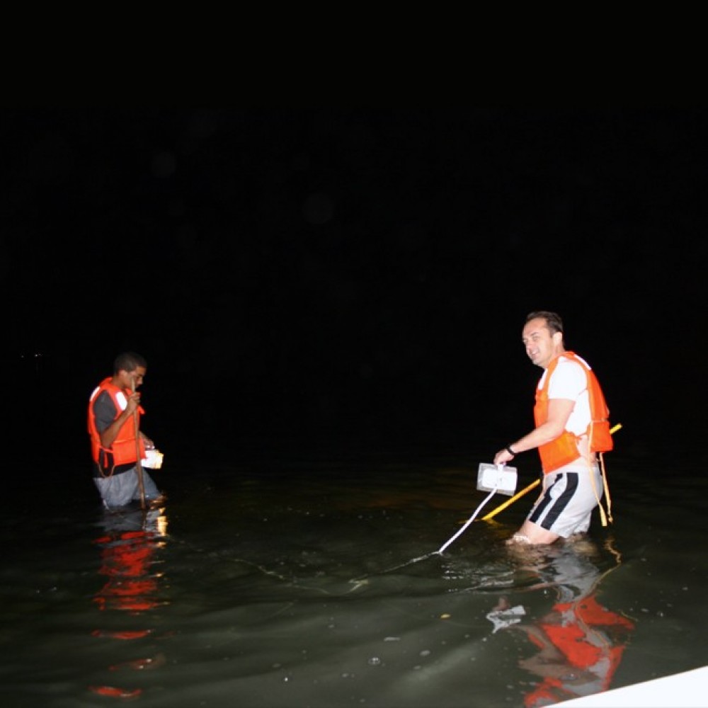 Crab Hunting Dubai - Dubai | Project Expedition