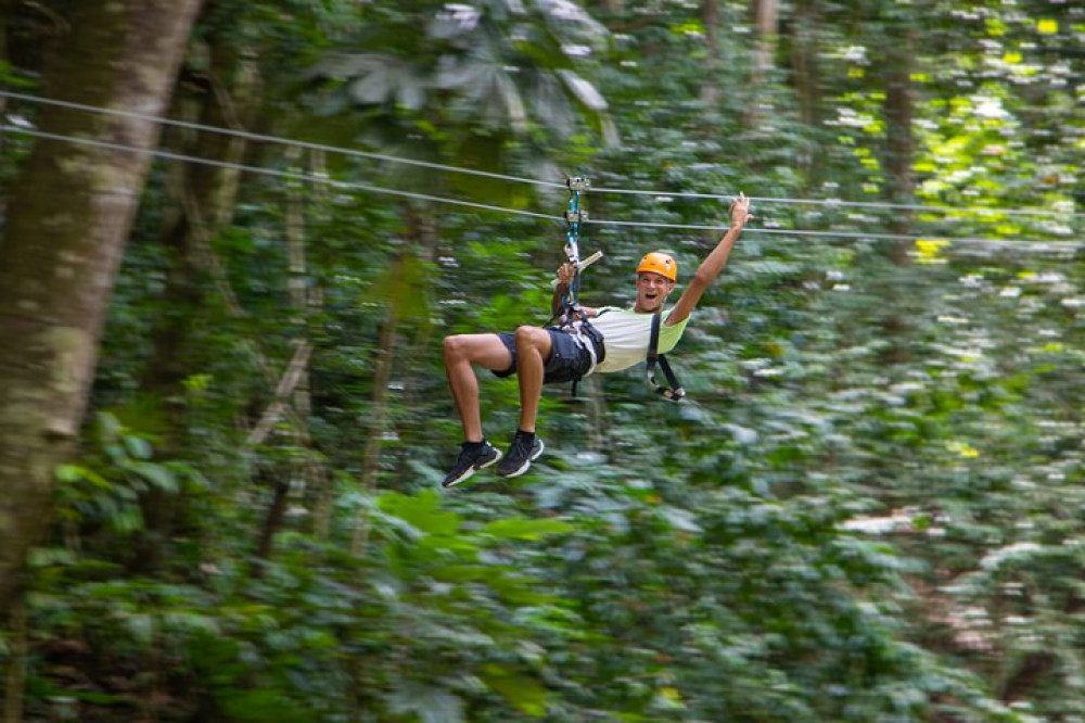 St Lucia Rainforest Canopy Zip Line Adventure - Castries | Project Expedition