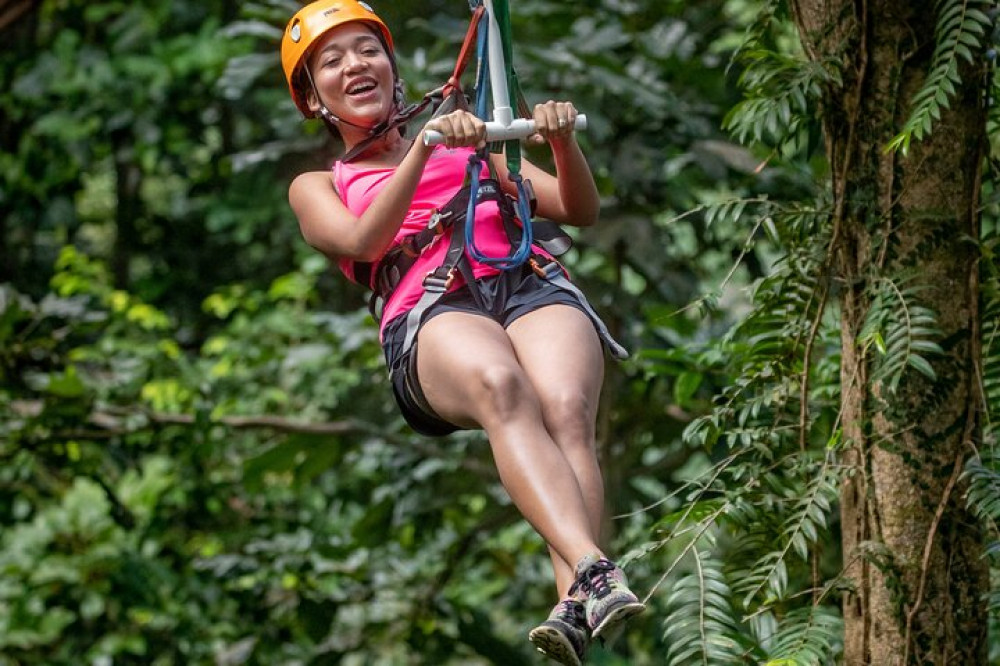 St Lucia Rainforest Canopy Zip Line Adventure - Castries | Project ...