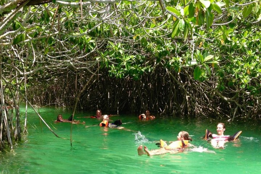 UNESCO Sian Kaan Reserve and Muyil Mayan Ruins from Tulum - Tulum ...