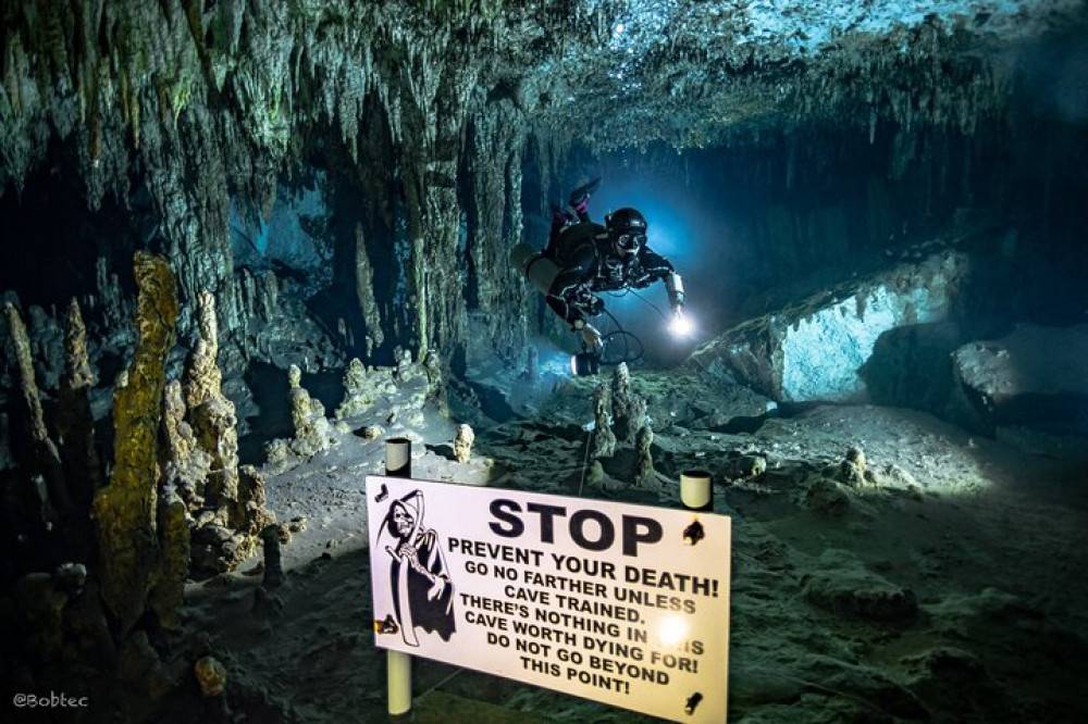 Scuba Diving in the Mystical Cenotes of Tulum - Tulum | Project Expedition