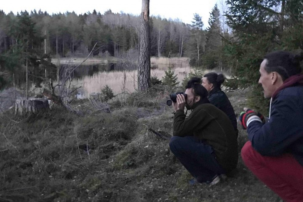 Wildlife Safari Tour in Stockholm Forest - Stockholm | Project Expedition