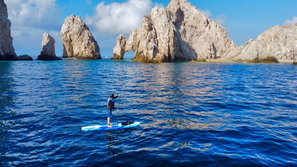 Cabo Nature - Project Expedition