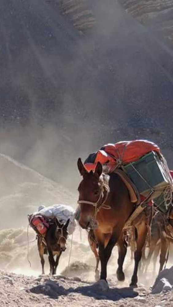6 Day - Andes Crossing From Mendoza To Chile By Horse - Mendoza ...