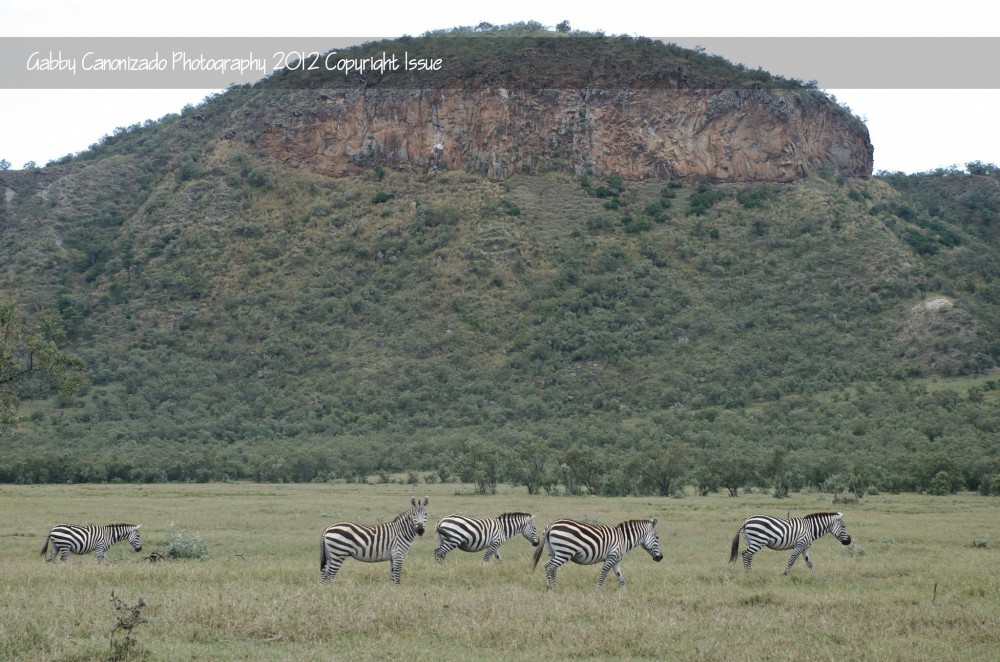Hell's Gate National Park Sights & Attractions - Project Expedition
