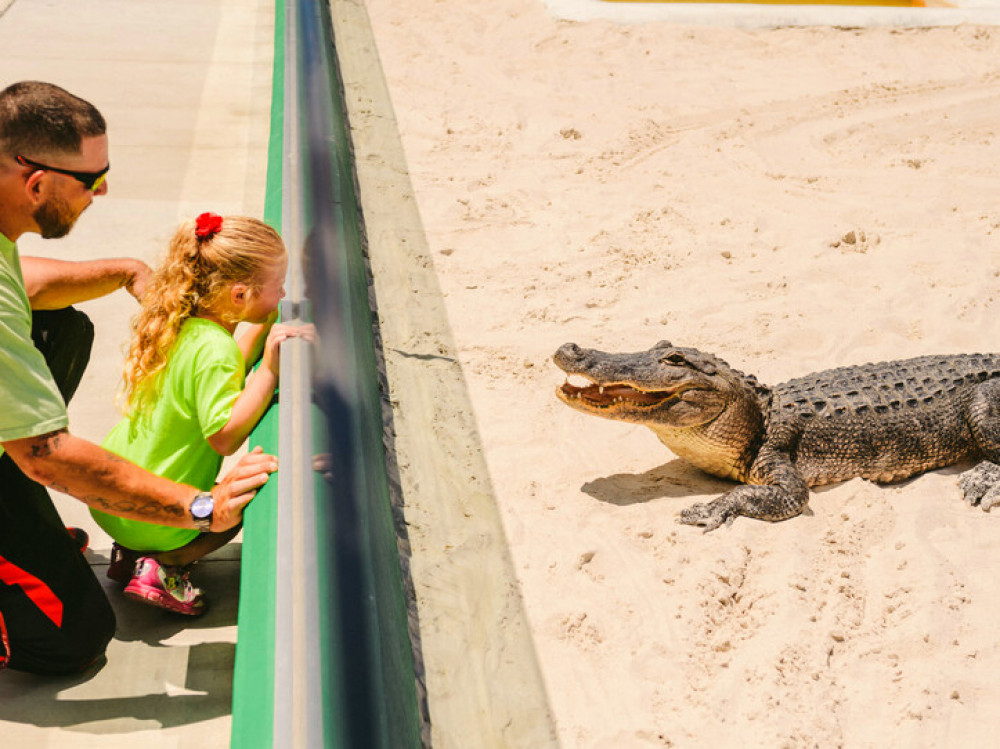 Everglades Park Tour From Miami - Miami | Project Expedition