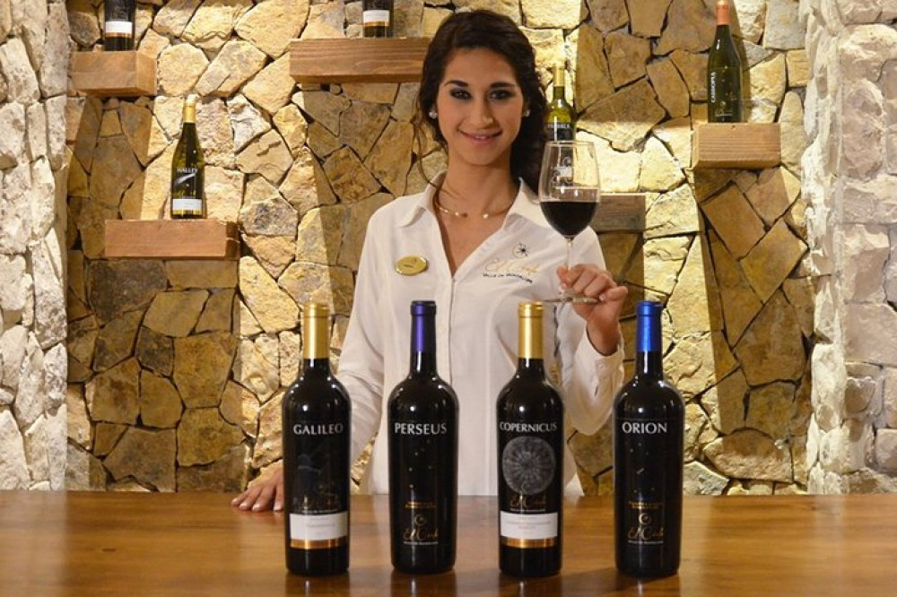 Wine Tasting and Carriage Tour at Premium Winery at Valle de Guadalupe ...