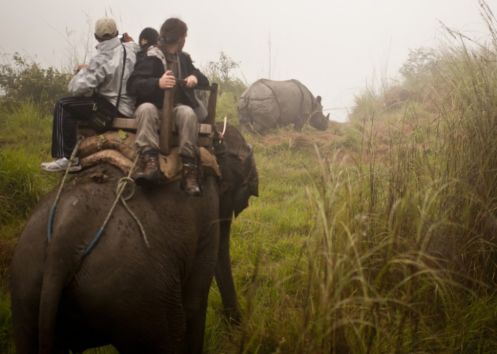 Chitwan National Park Sights & Attractions - Project Expedition