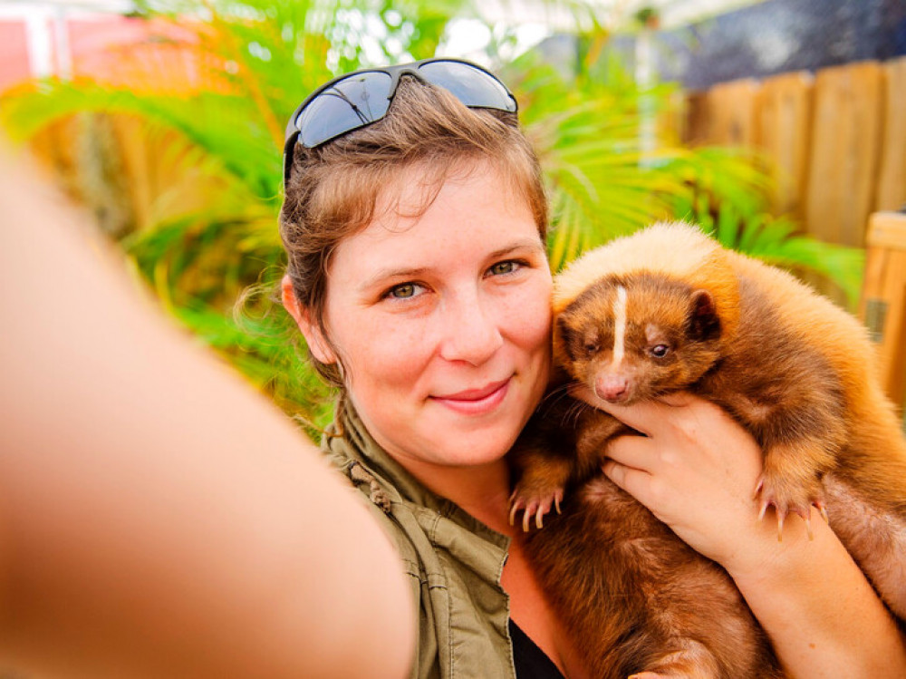 The Miami Tour Company - Project Expedition