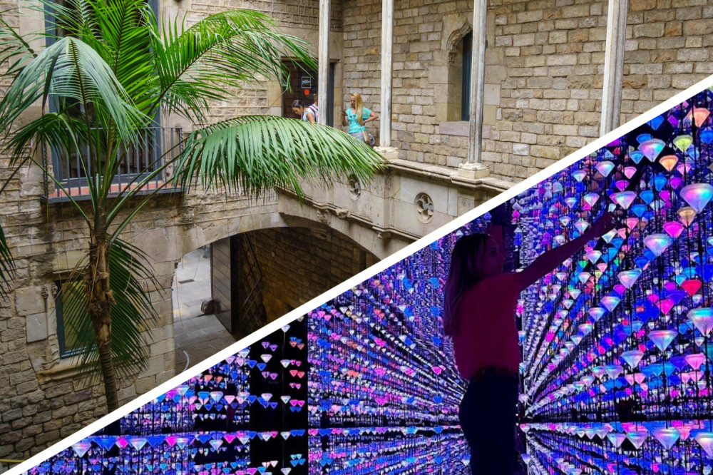 Museum Tour: Guided Tour of the Picasso Museum + Mocco Museum ...