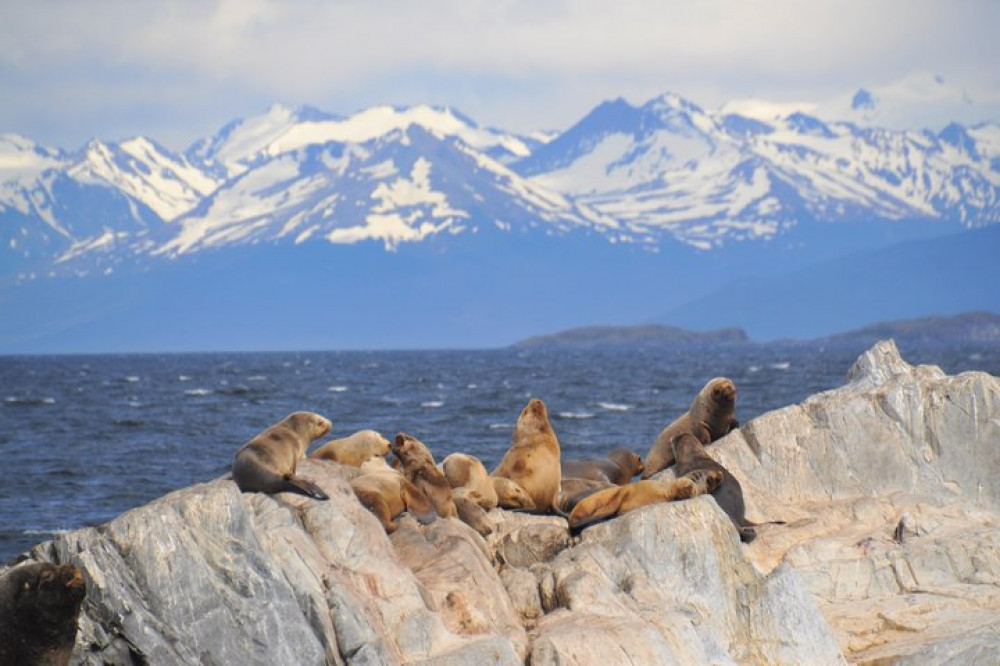 Navigation in the Beagle Channel with Mini Trekking From Ushuaia ...