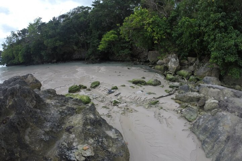 Lagoon Dudu Full Day Tour from Santo Domingo - Santo Domingo | Project ...