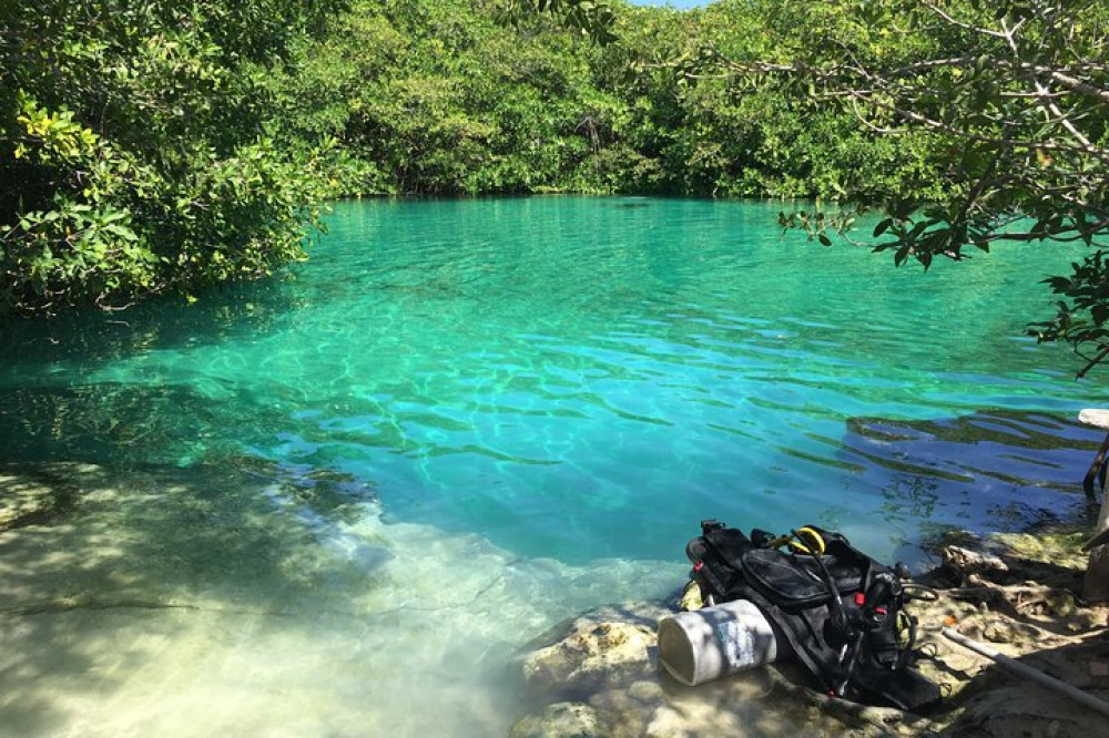 Discovering Breathtaking Cenotes in Tulum - Tulum | Project Expedition