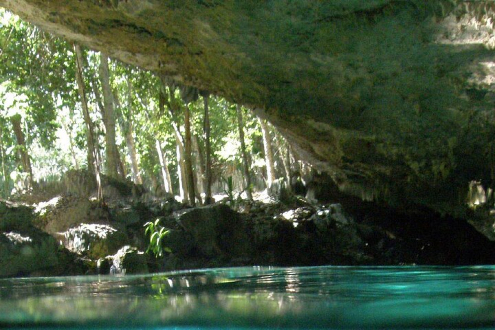 Discovering Breathtaking Cenotes in Tulum - Tulum | Project Expedition