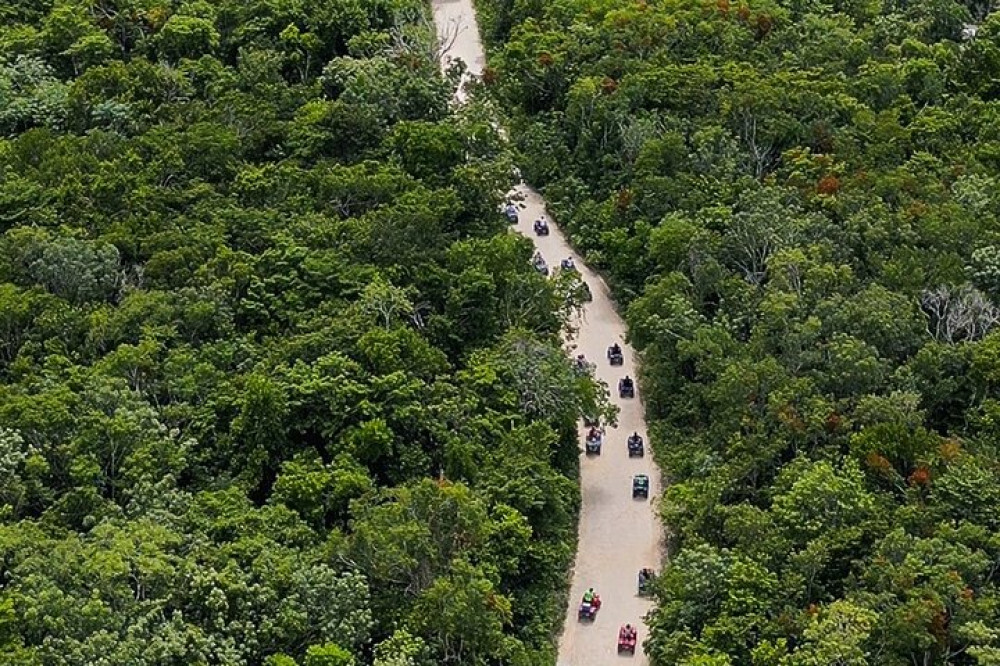 Wild Jungle Adventure: ATV Ride, Cenote and Monkey Bonding - Akumal ...