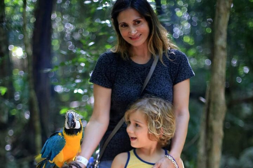 Wild Jungle Adventure: ATV Ride, Cenote and Monkey Bonding - Akumal ...