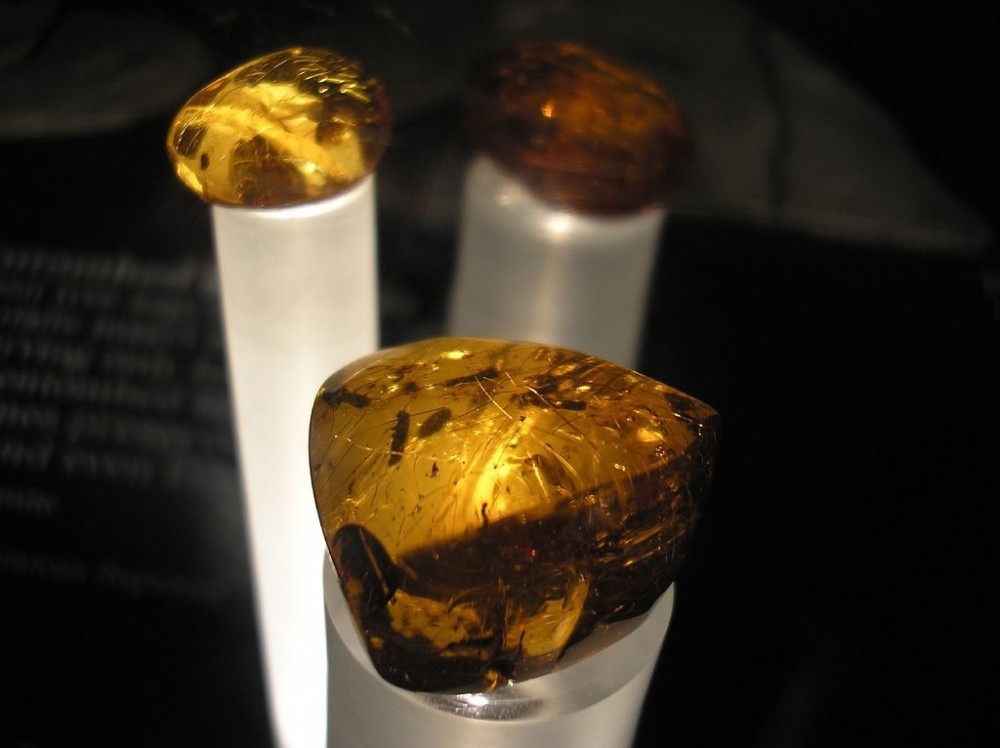 Amber Museum Sights & Attractions - Project Expedition