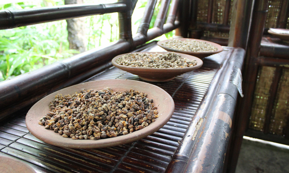 Bali Yowana Tour - Project Expedition