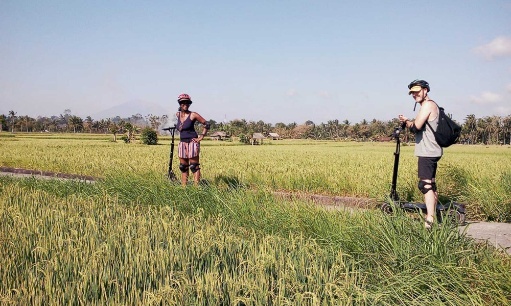 Bali Yowana Tour - Project Expedition