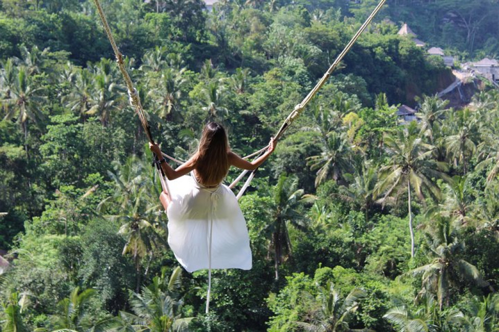 Ubud Highlights Full Day Tour with Giant Swing - Denpasar City (Benoa ...