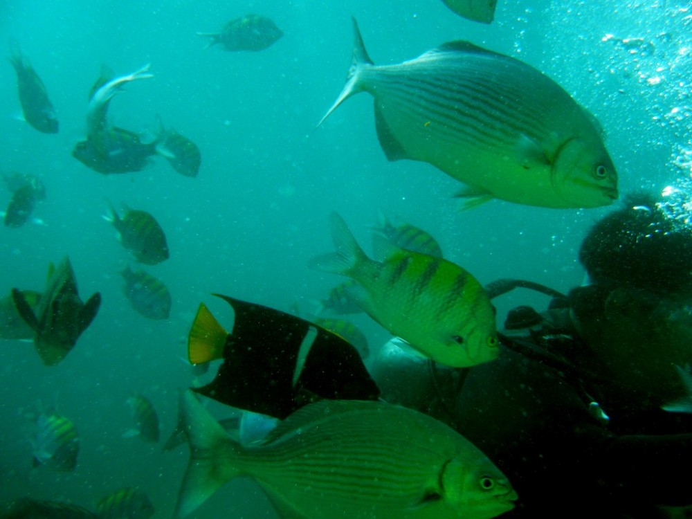 Santa Maria Bay Sights & Attractions - Project Expedition