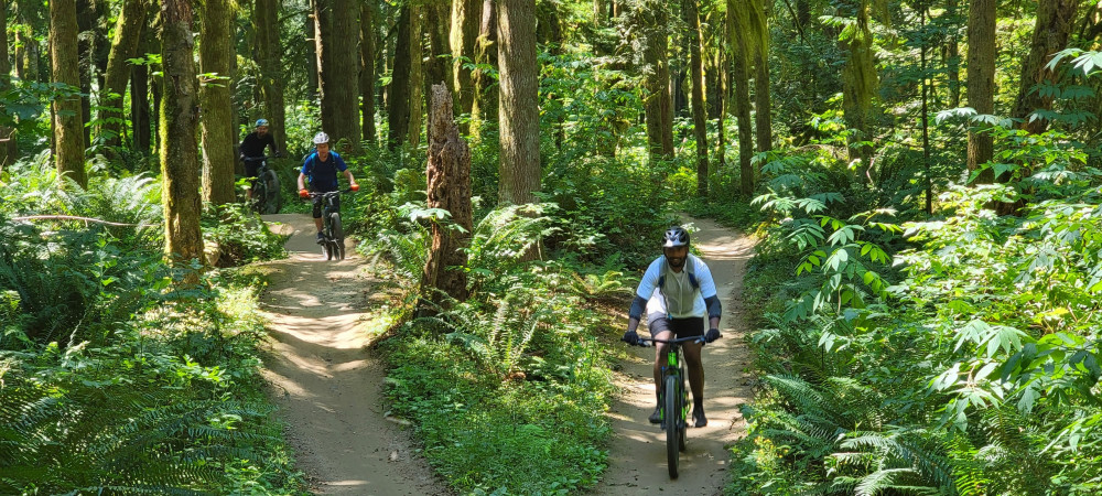 Half Day Mountain Bike Tour from Seattle - Seattle | Project Expedition
