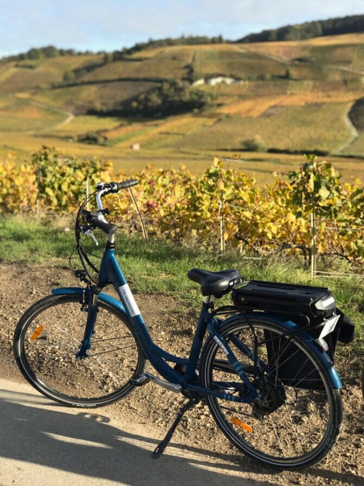 Afternoon E-bike Champagne Tour From Reims - Reims | Project Expedition