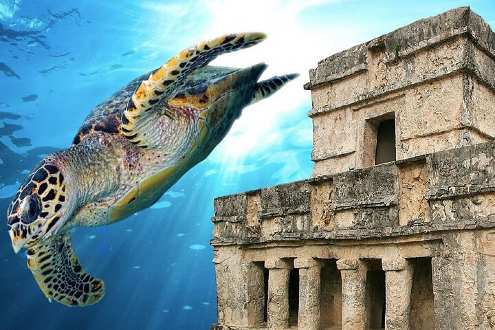 Tulum Ruins & Snorkeling with Sea Turtles Private Tour - Tulum ...