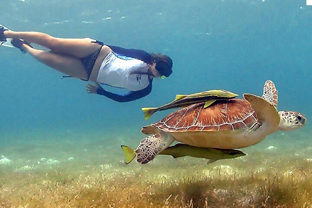 Tulum Ruins & Snorkeling with Sea Turtles Private Tour - Tulum ...