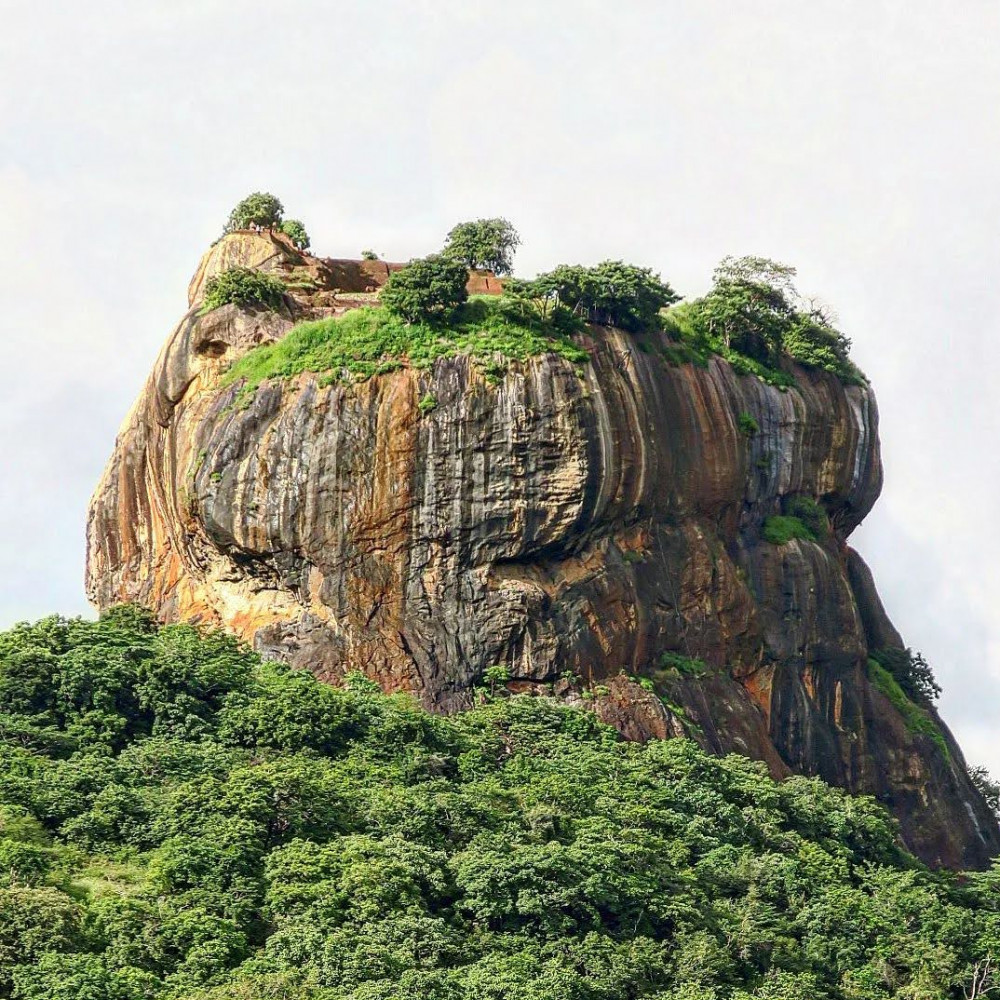 Real Lanka Holidays - Project Expedition