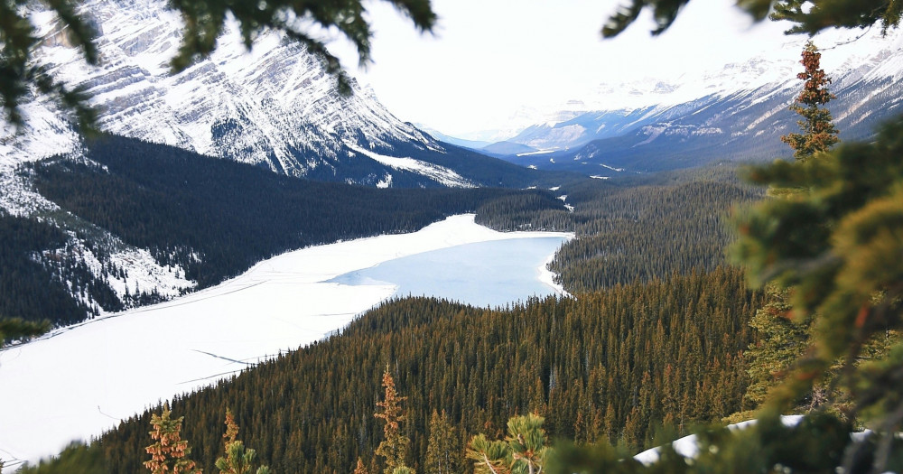 Icefields Parkway & Ice Bubbles of Abraham Lake - Banff | Project ...
