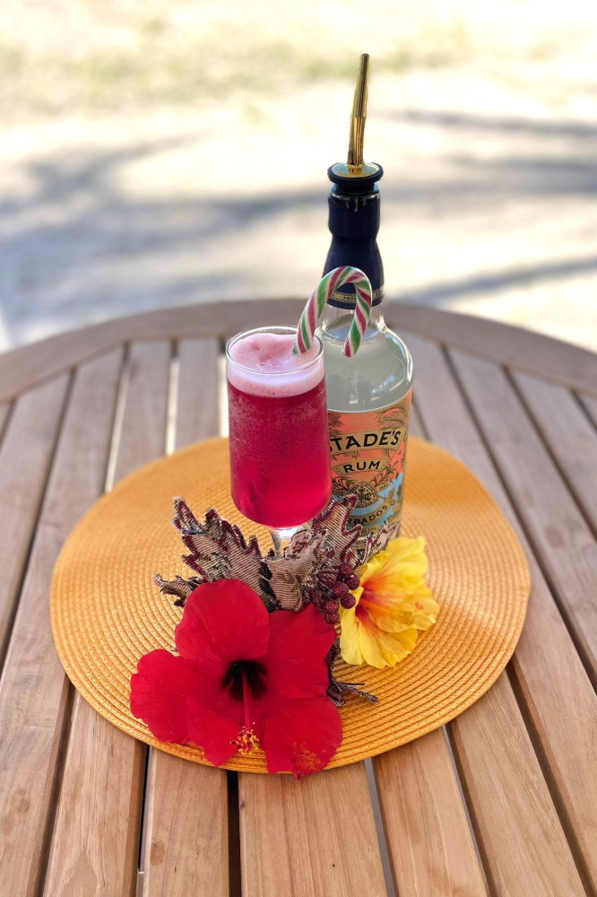 Private Mixology Class with Award-Winning Mixologist in Bridgetown ...