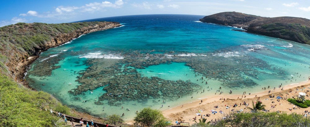 Roberts Hawaii - Project Expedition
