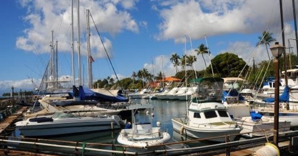 Roberts Hawaii - Project Expedition