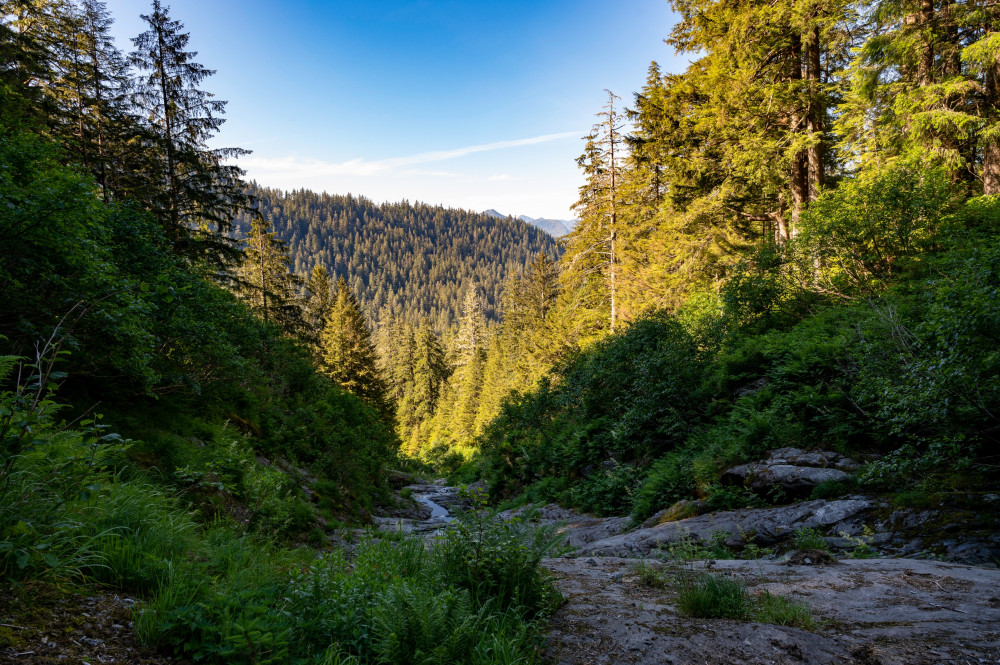 Private Ketchikan Mountain Lake Extended Trek to Alpine Overlook ...