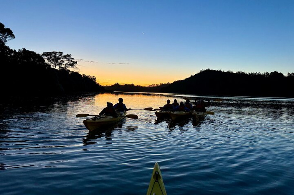Auckland Bioluminescence Kayak Tour - Waiake Beach - Auckland | Project ...