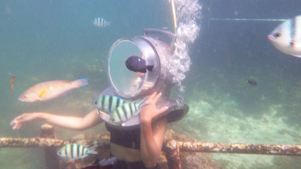 Half Day Guided Underwater Sea Walk Experience In Nusa Dua - Denpasar ...