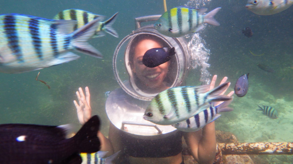 Half Day Guided Underwater Sea Walk Experience In Nusa Dua - Denpasar ...