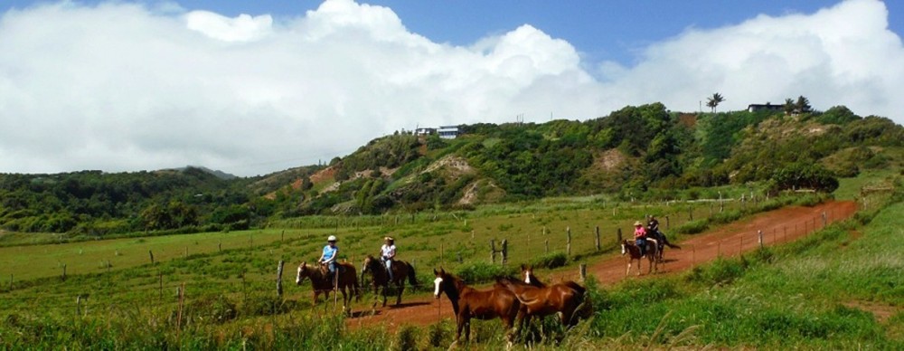 Maui Trail Rides - Project Expedition